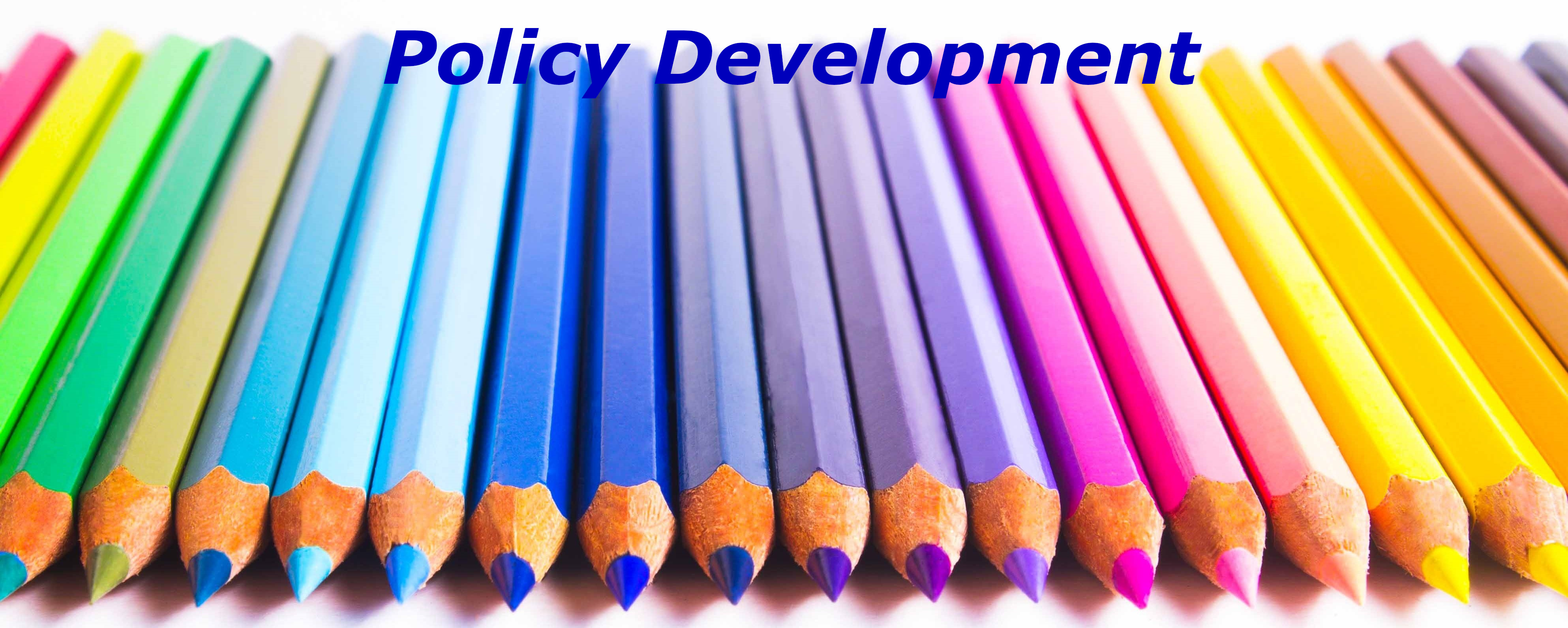 Policy Development – Kirsty Lottkowitz